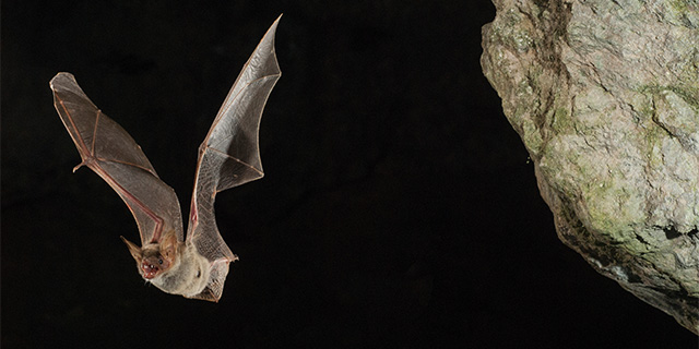 College of Science & Engineering | Texas Christian University